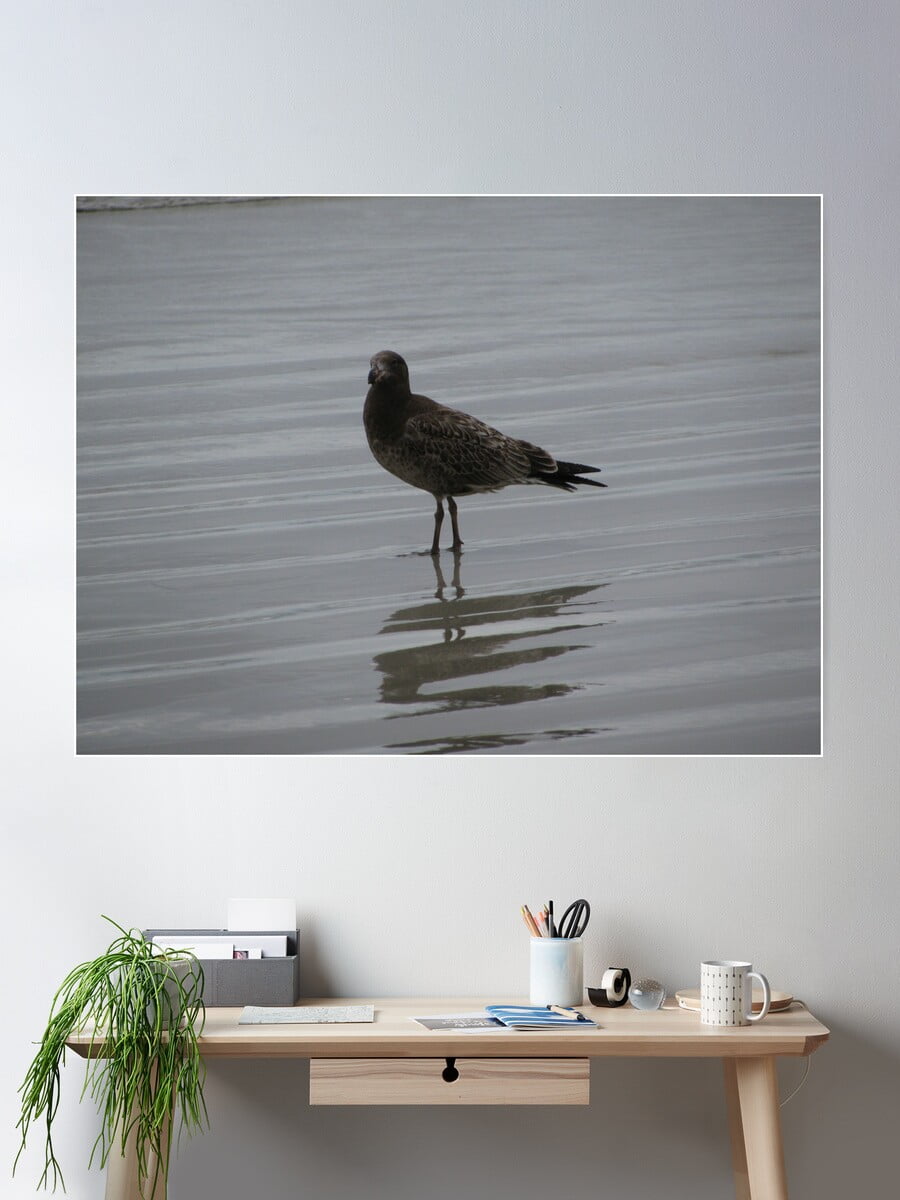 Grey Gull Poster Wall Art, Modern Wall Decor For Living Room Bedroom ...
