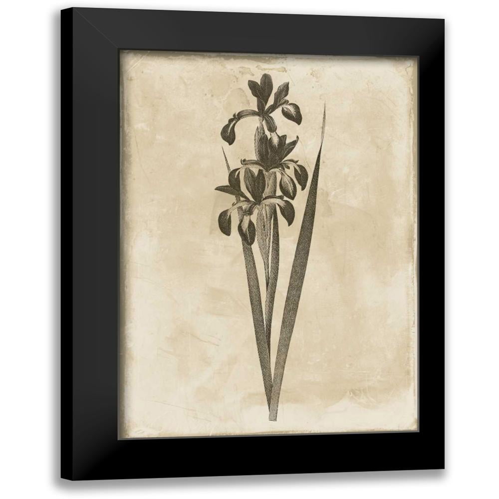 Grey, Jace 11x14 Black Modern Framed Museum Art Print Titled - Floral ...