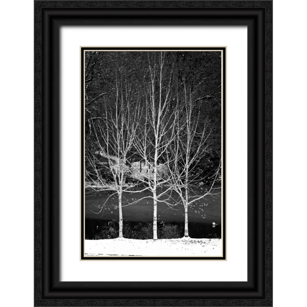 Grey, Jace 11x14 Black Ornate Wood Framed with Double Matting Museum ...