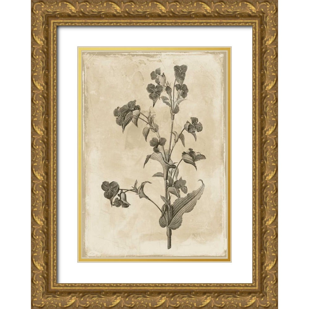 Grey, Jace 11x14 Gold Ornate Wood Framed with Double Matting Museum Art ...