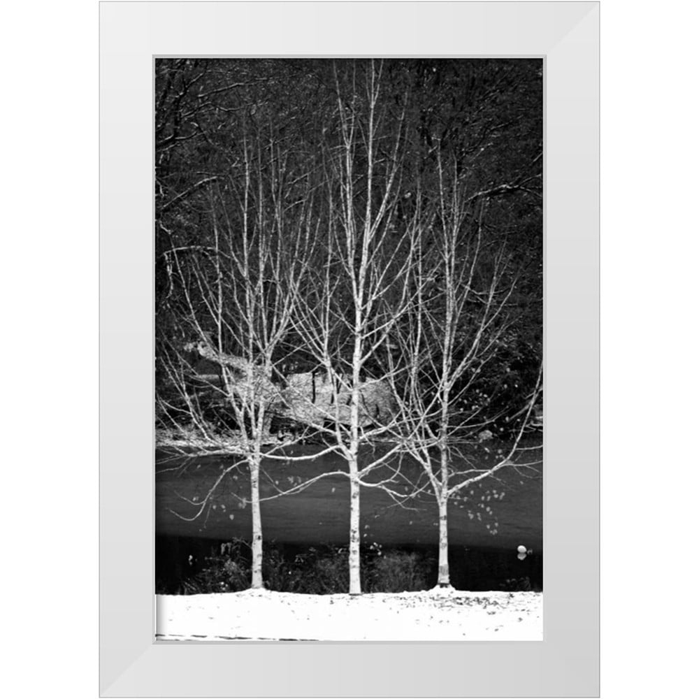 Grey, Jace 11x14 White Modern Wood Framed Museum Art Print Titled ...