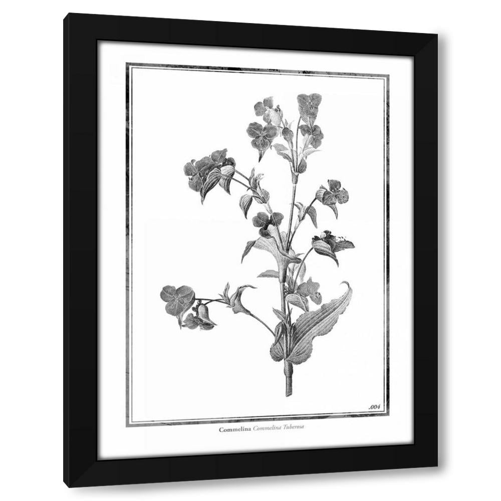 Jace Grey 12x14 Black Modern Wood Framed Wall Art Titled - Commelina ...