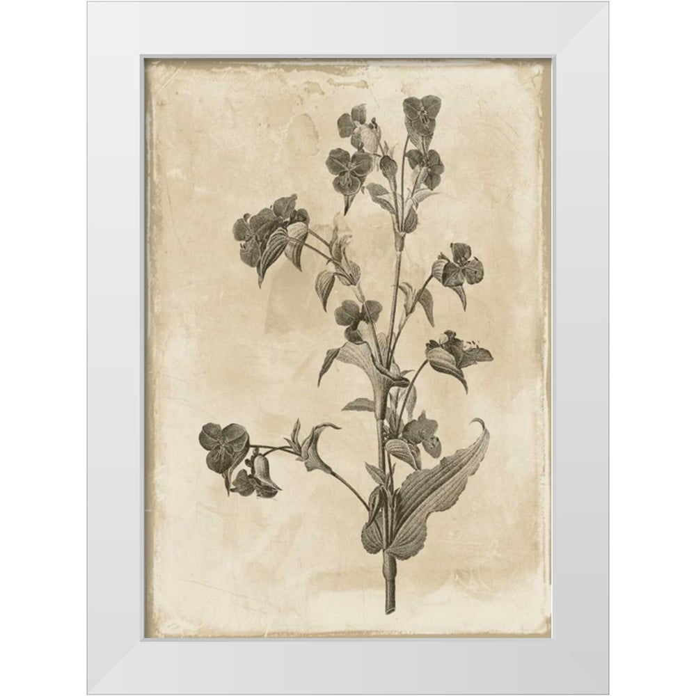 Grey, Jace 14x18 White Modern Wood Framed Museum Art Print Titled ...