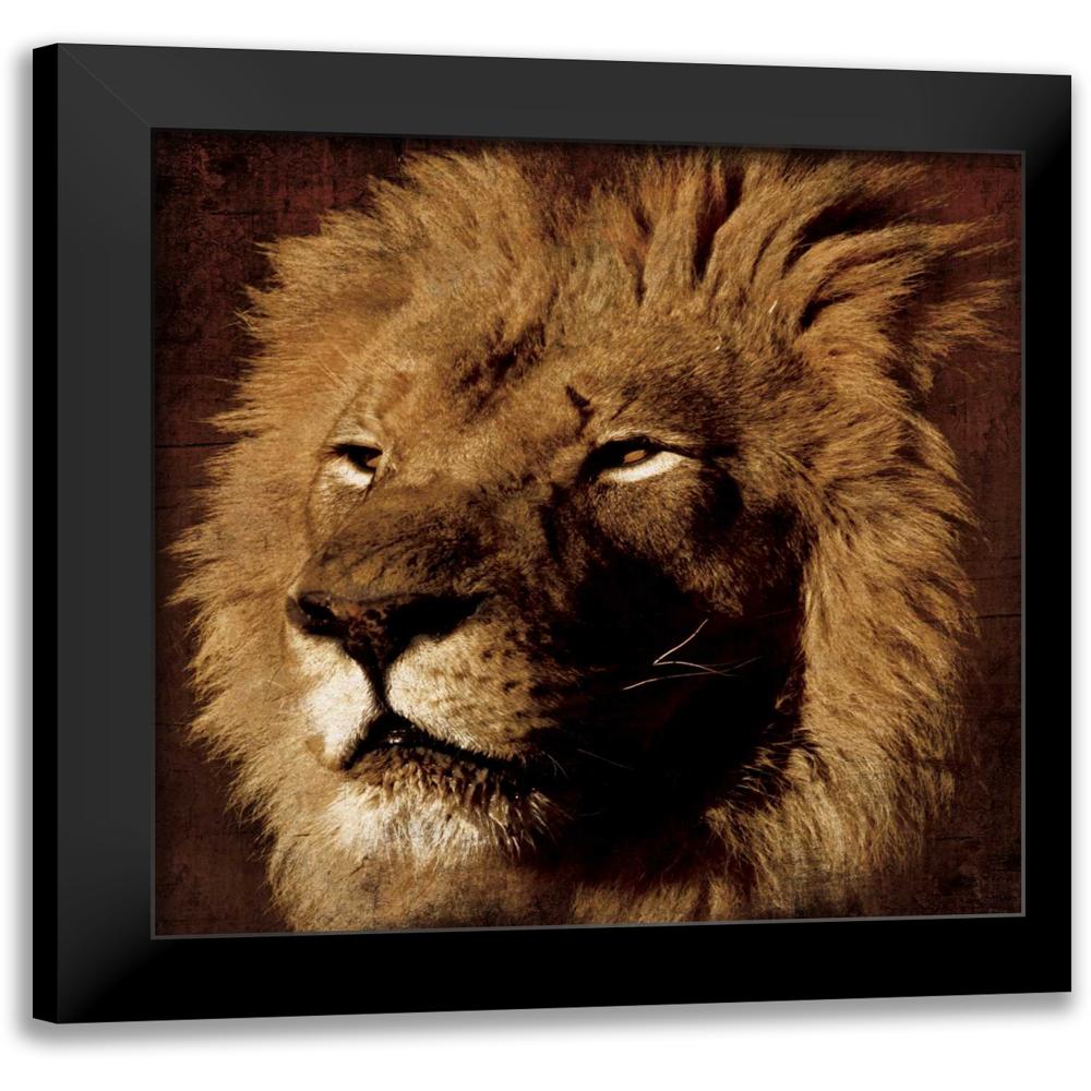 Grey, Jace 15x15 Black Modern Framed Museum Art Print Titled - Lion ...