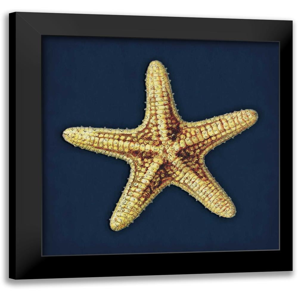 Grey, Jace 15x15 Black Modern Framed Museum Art Print Titled - Star ...