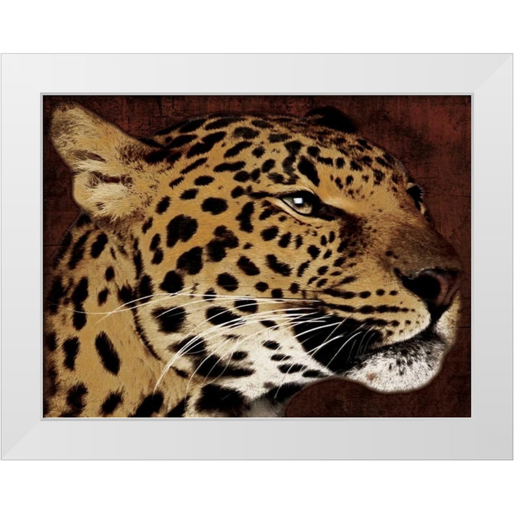 Grey, Jace 18x15 White Modern Wood Framed Museum Art Print Titled - Leopard - Walmart.com