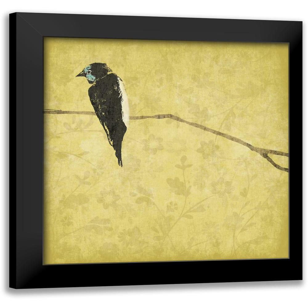 Grey, Jace 20x20 Black Modern Framed Museum Art Print Titled - Birds on ...