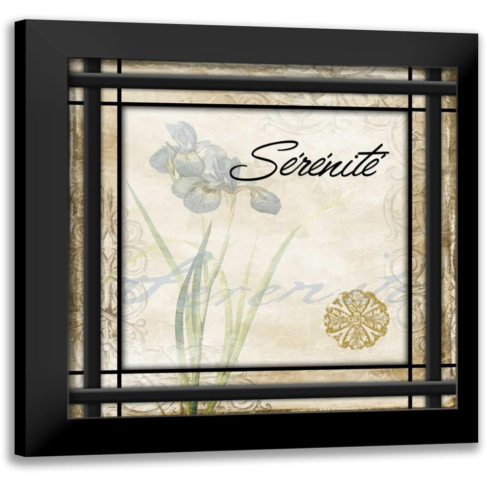 Grey, Jace 20x20 Black Modern Framed Museum Art Print Titled - Serenite ...