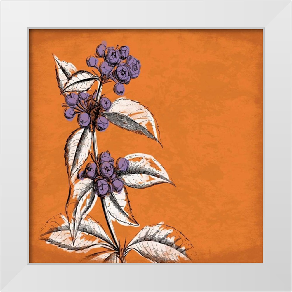 Grey, Jace 20x20 White Modern Wood Framed Museum Art Print Titled ...