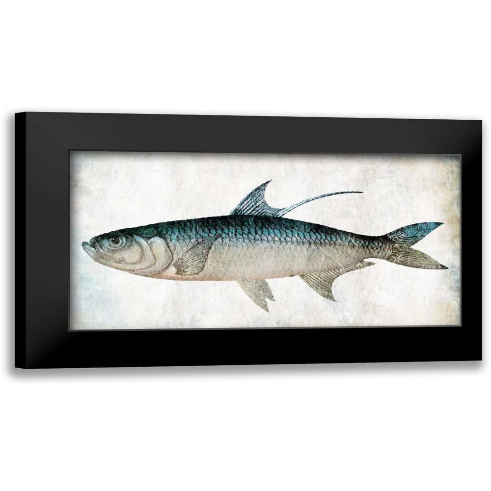 Grey, Jace 24x14 Black Modern Framed Museum Art Print Titled - Fish ...