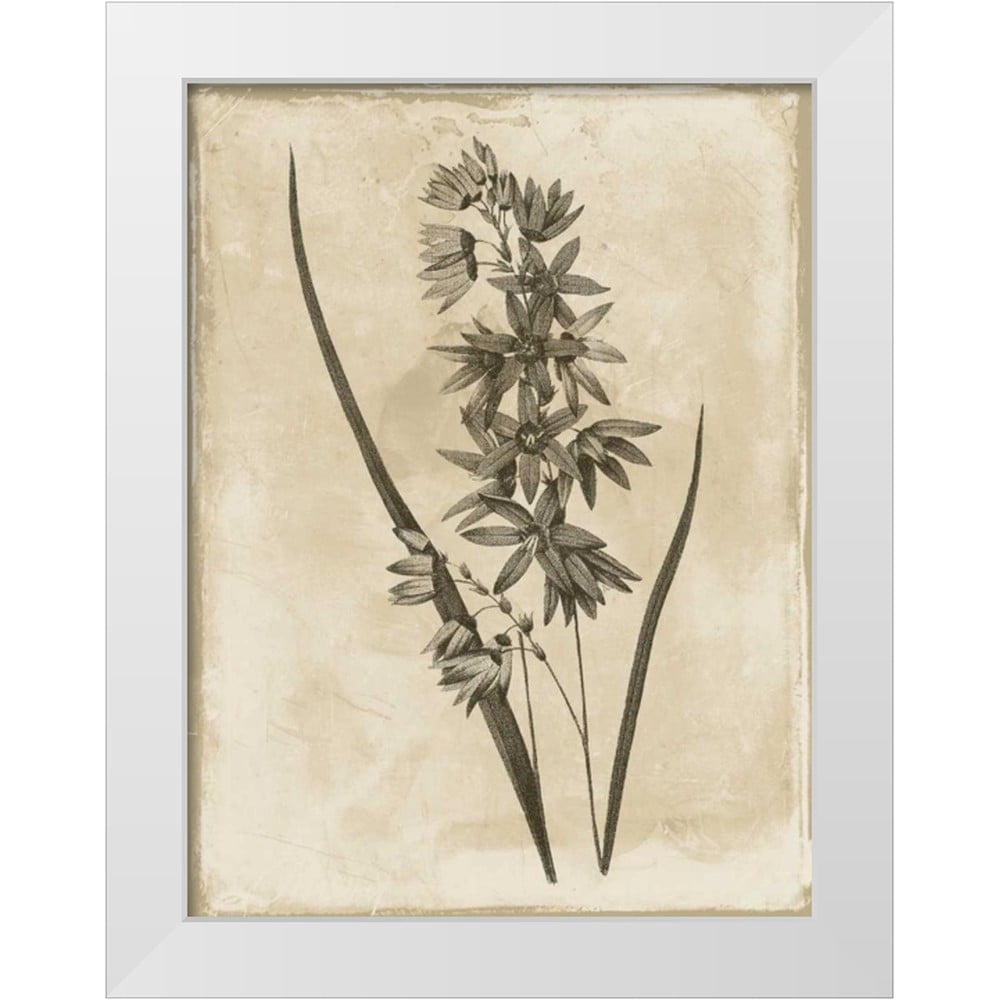Grey, Jace 25x32 White Modern Wood Framed Museum Art Print Titled ...
