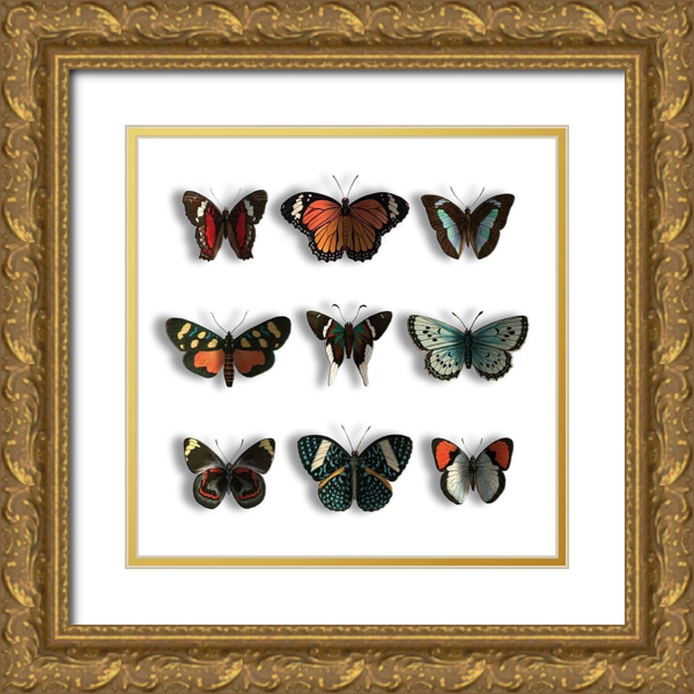 Grey, Jace 26x26 Gold Ornate Wood Framed with Double Matting Museum Art ...