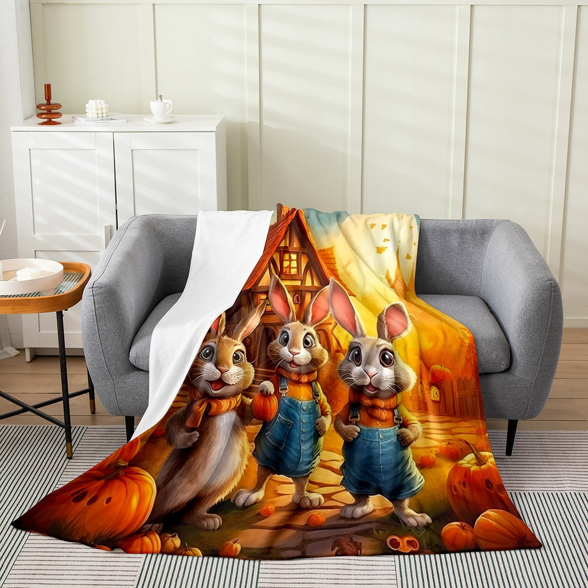 Grey Kawaii Rabbit Blanket Twin 60x80 Cartoon Rabbit Fuzzy Blanket Cute ...