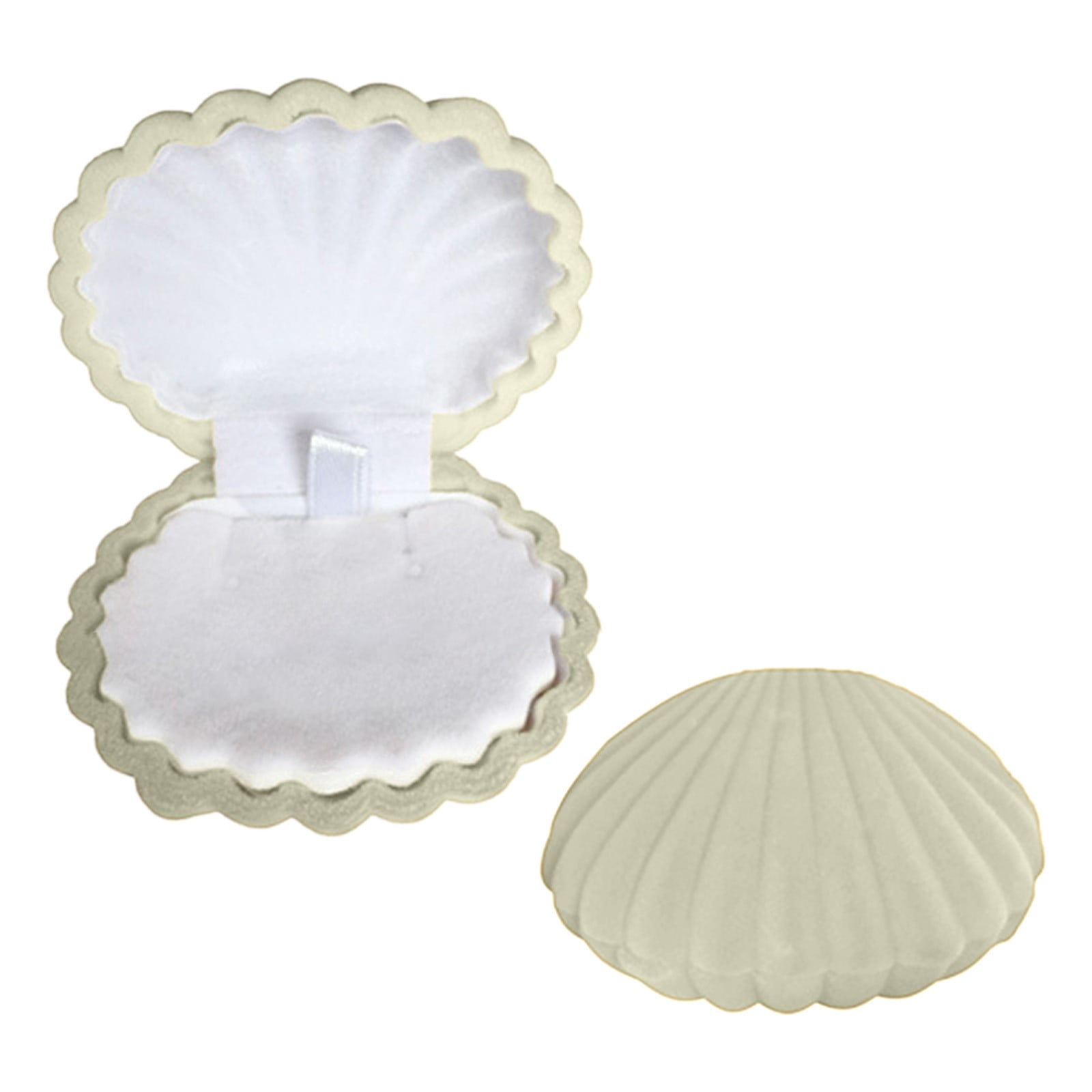 Grey Seashell Velvet Jewelry Box Small Display Organizer For Earrings ...