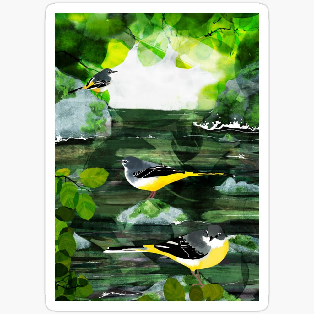 Grey Wagtails Sticker Phone Decal Water Bottle Stickers Car Decals ...