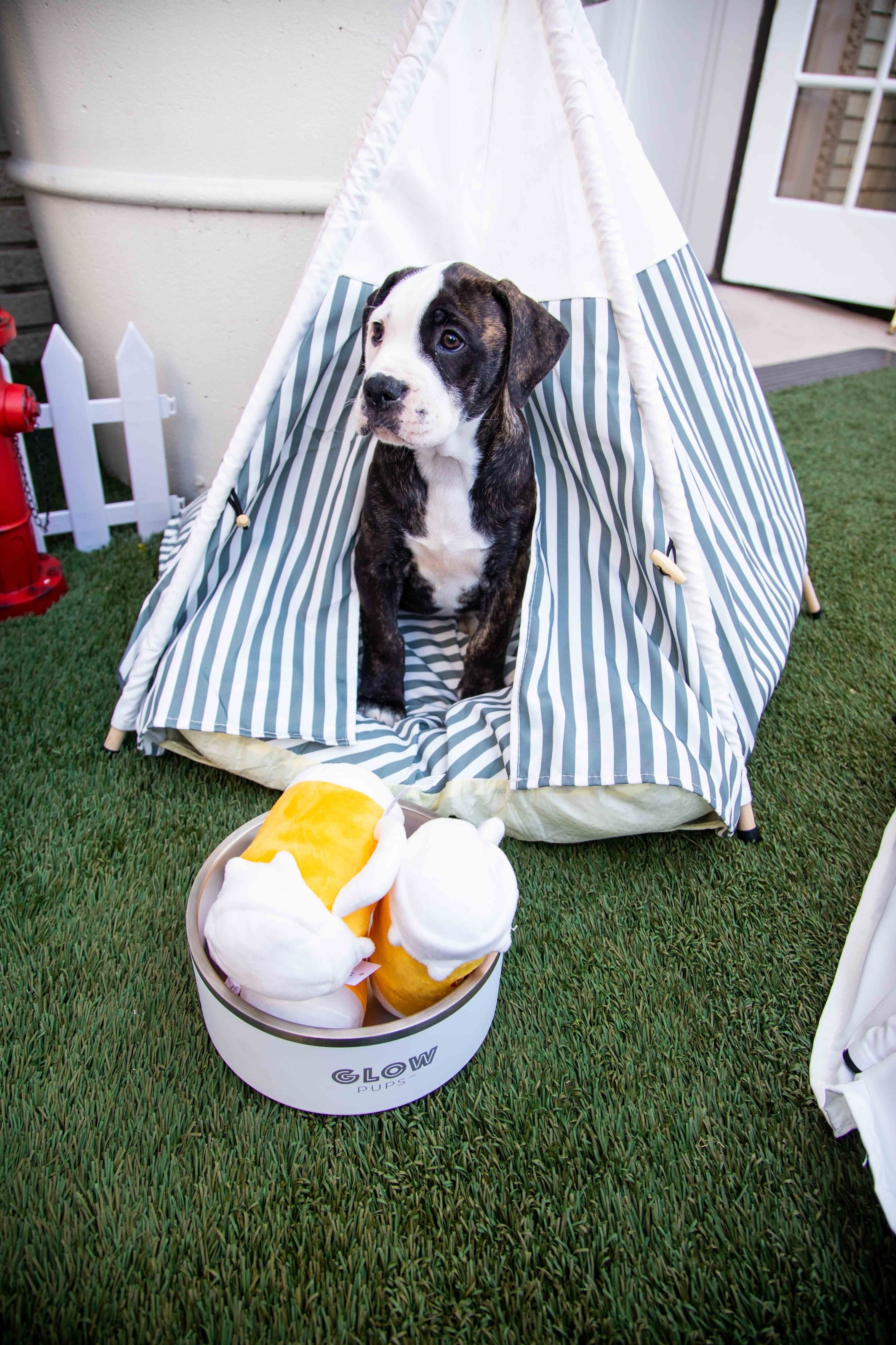Glow Pups Small Pet Striped Teepee, Grey & White, Indoor Pet Tent ...