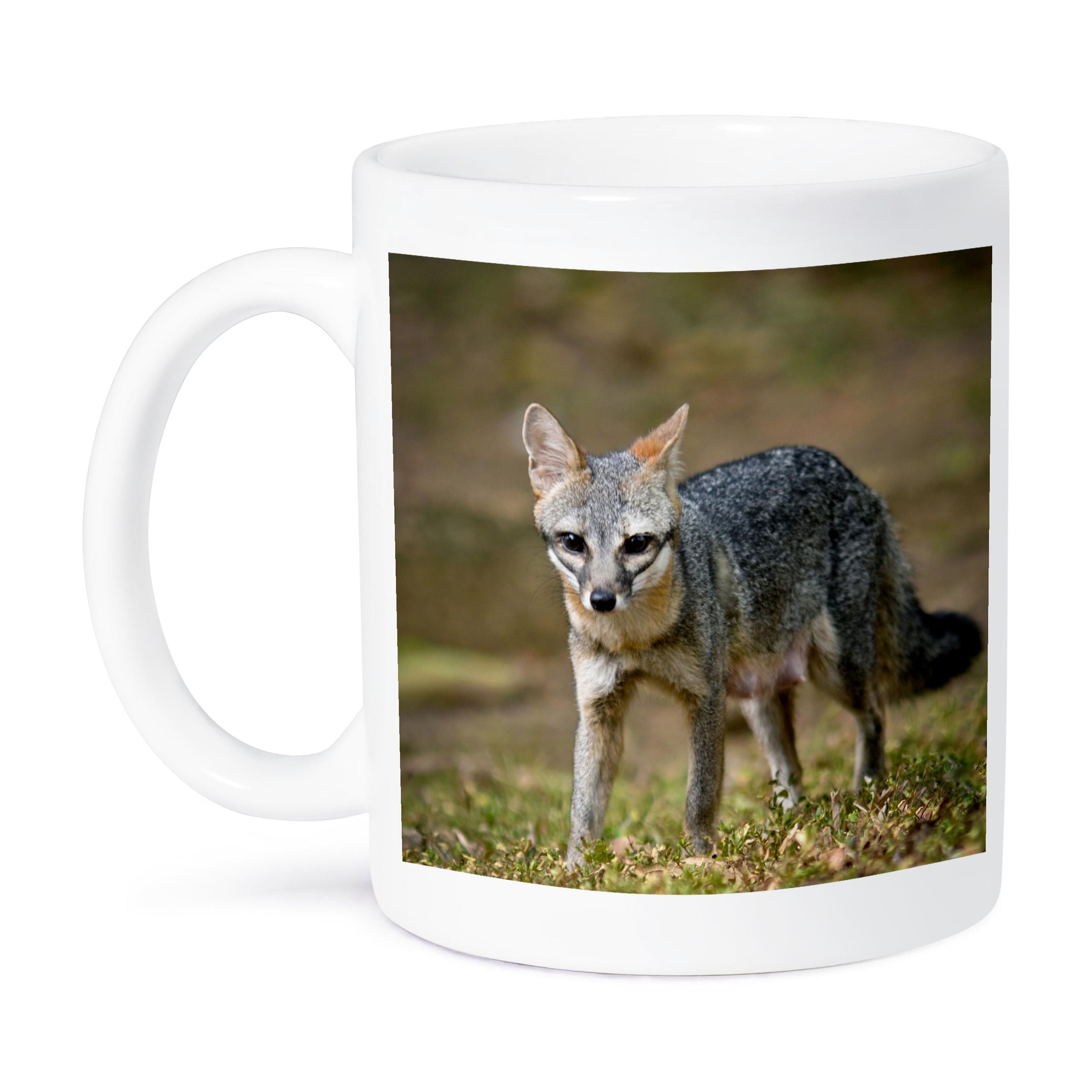 3dRose, Grey fox pauses to identify a potential threat - SA02 MWI0017 ...