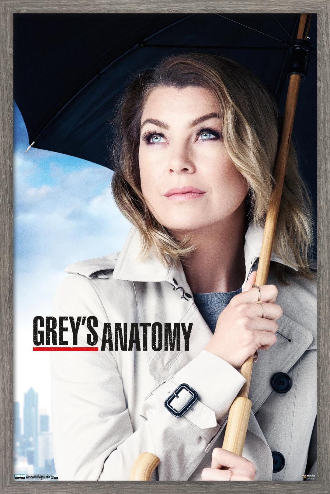 Greys Anatomy Season 9 Poster