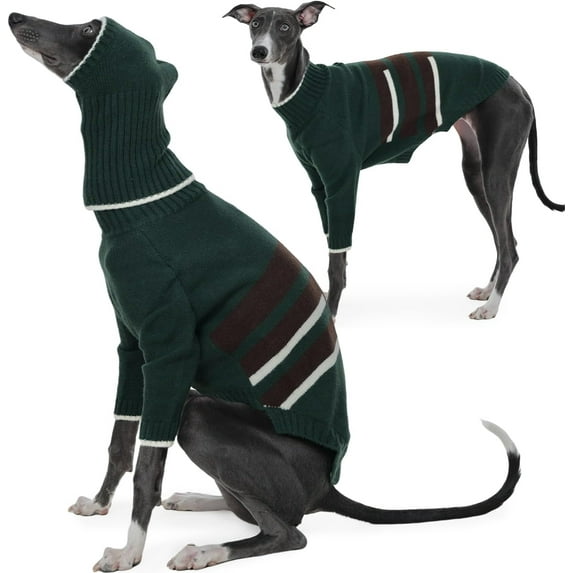 Greyhound Whippet Sweater, Italian Greyhound Sweater with Hat, Slim Fit ...