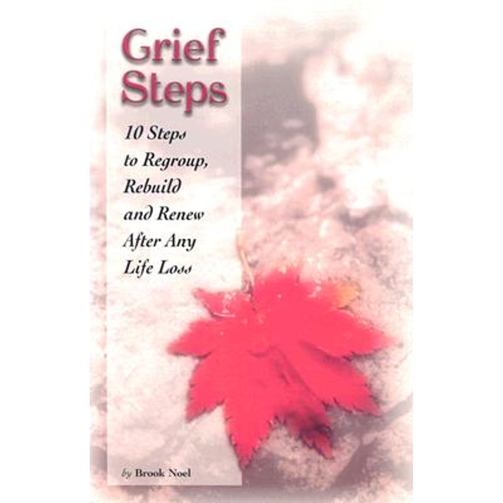 Grief Steps: 10 Steps to Regroup, Rebuild and Renew After Any Life Loss ...