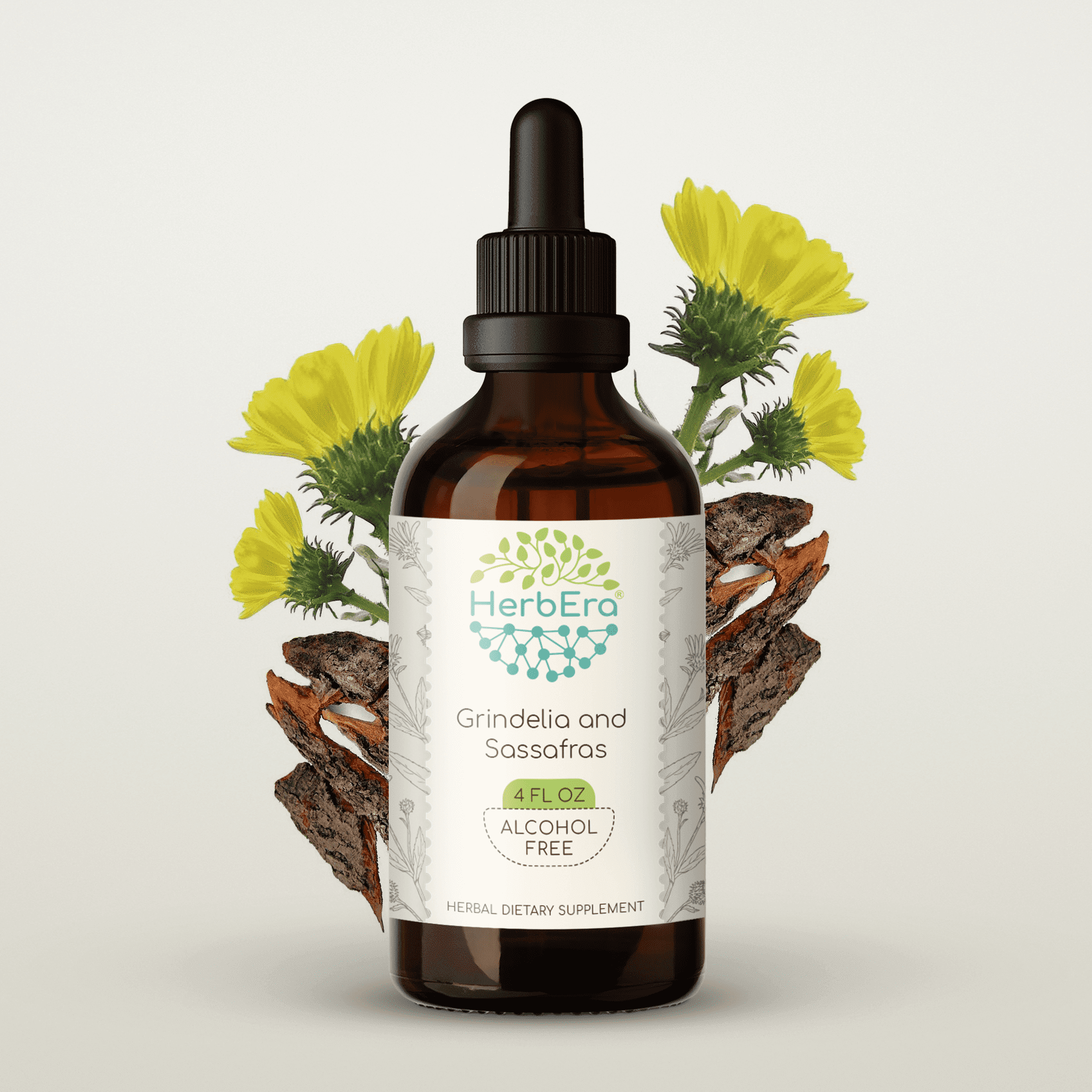 HerbEra Grindelia & Sassafras Tincture, Alcohol-Free Herbal Extract for Respiratory Support ...