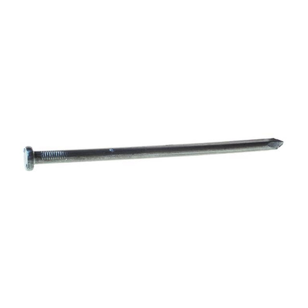 Grip-Rite 12D 12 in. Spike Hot-Dipped Galvanized Steel Nail Flat 50 lb ...