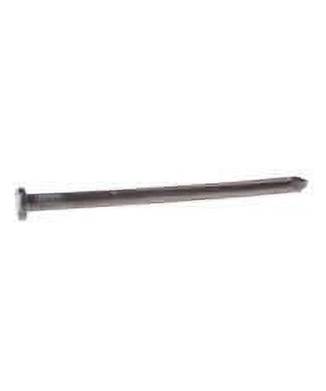Grip-Rite 12D 12 in. Spike Hot-Dipped Galvanized Steel Nail Flat 50 lb ...