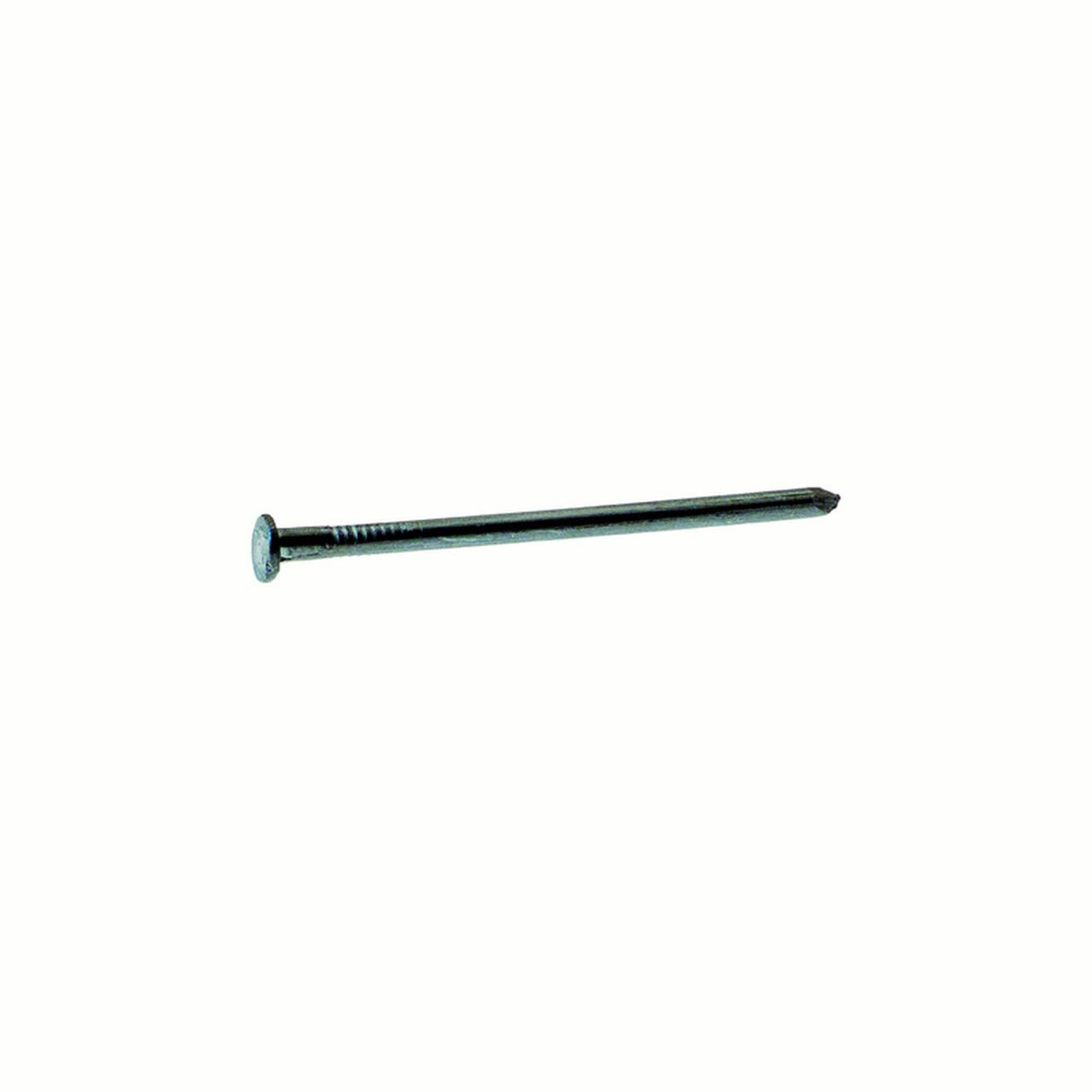 Grip-Rite 12D 3-1/4 in. Common Bright Steel Nail Flat Head 50 lb ...