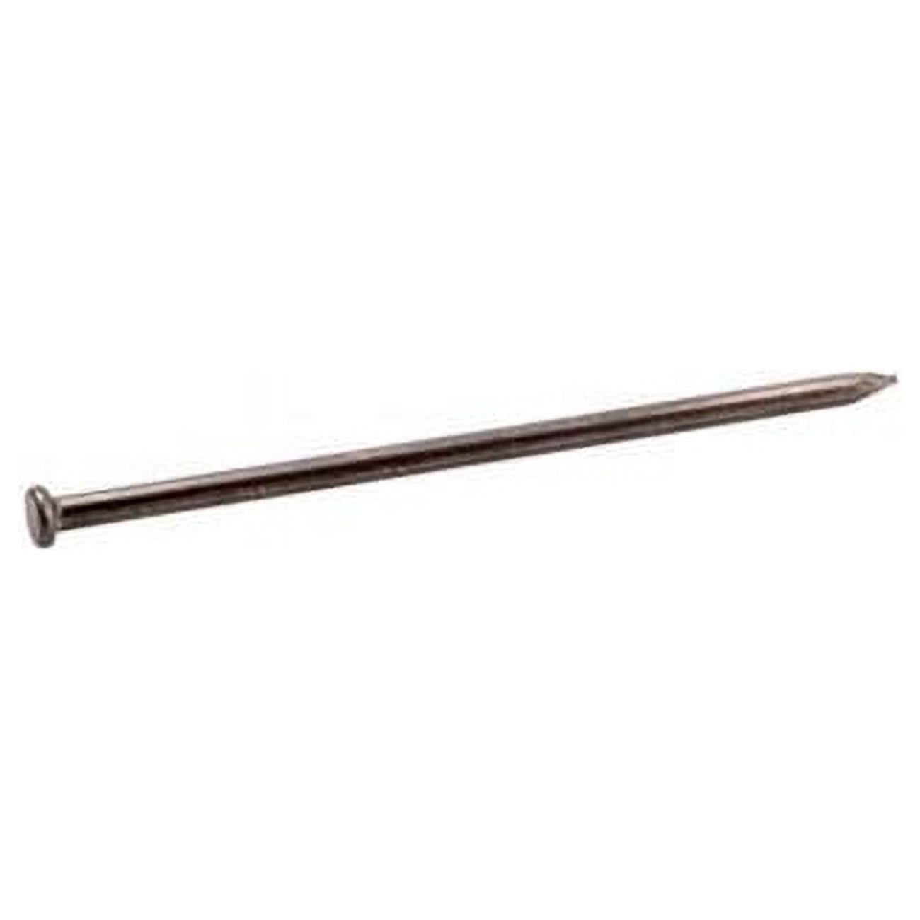 Grip-Rite 12SPK5 Spike Nail, Steel, 12 Inch - Walmart.com