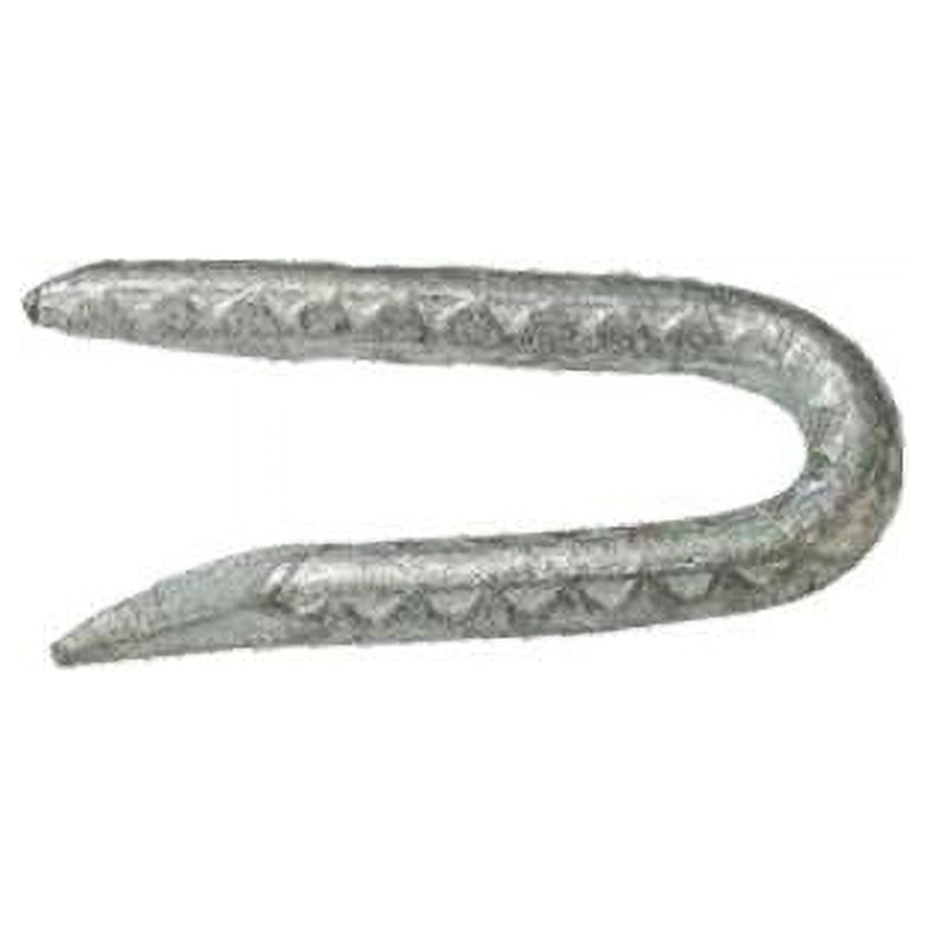 Grip-Rite 1/4 in. W X 2-1/2 in. L Galvanized Steel Fence Staples 9 Ga ...