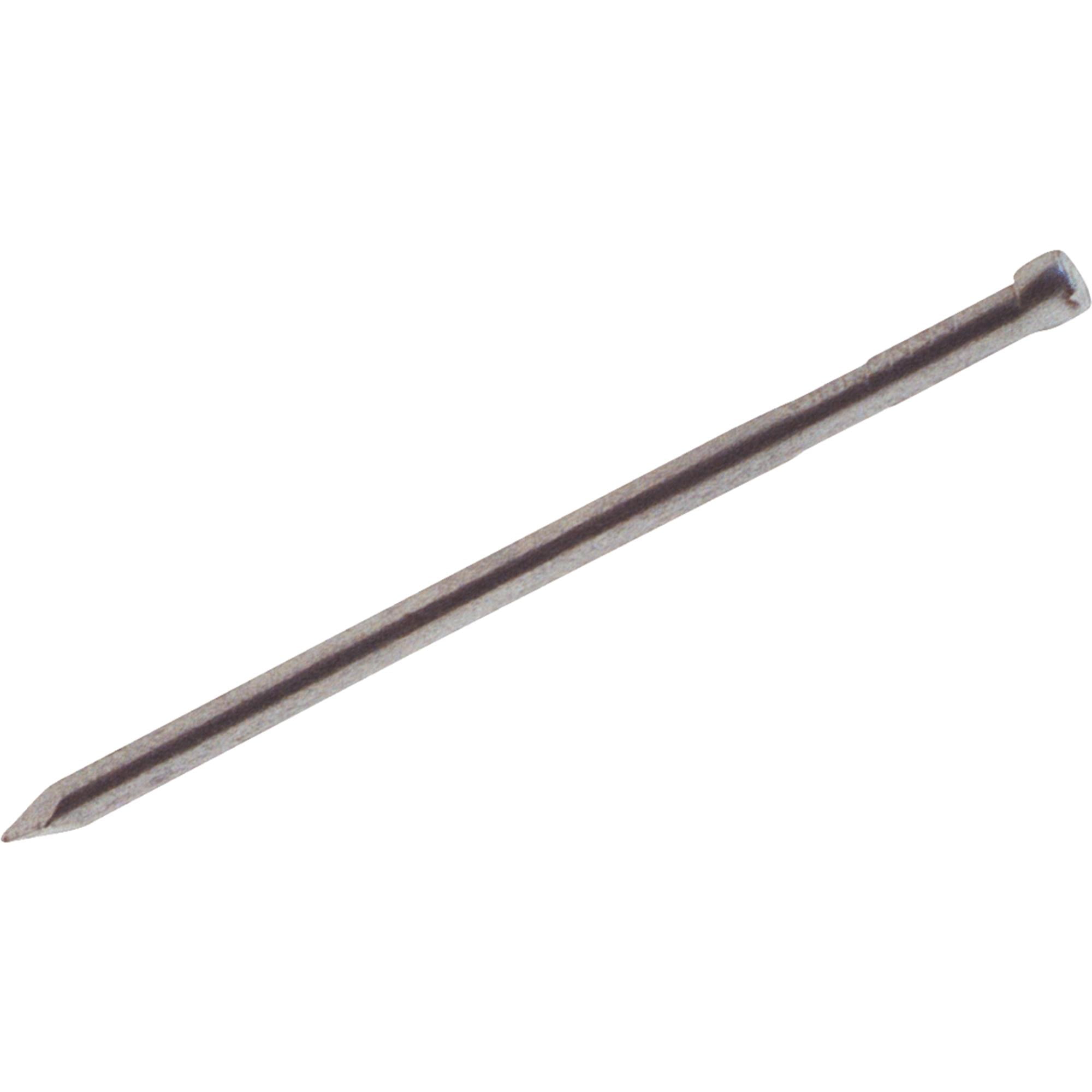 Grip-Rite 6d x 2 In. Bright Finishing Nails (14400 Ct., 50 Lb.) 6F ...