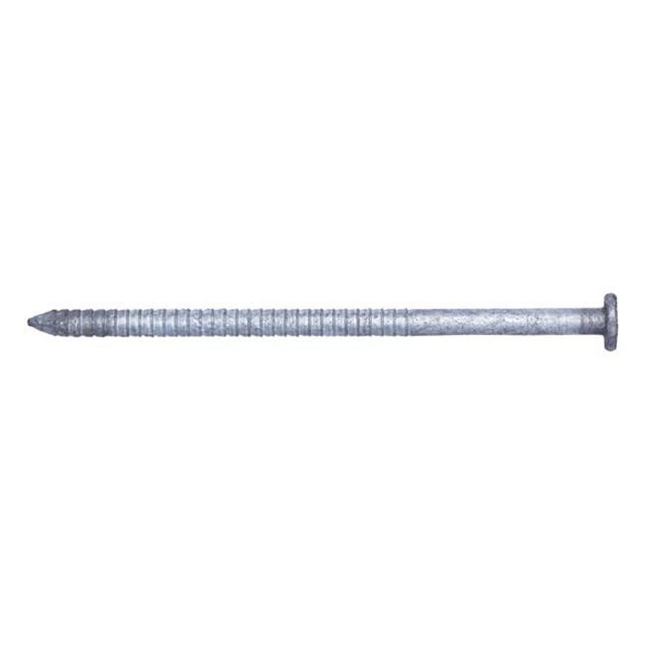 Grip-Rite 8D 2-1/2 in. Deck Hot-Dipped Galvanized Steel Nail Flat Head ...