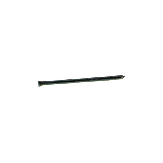 Grip-Rite 8D 2-1/2 in. Finishing Hot-Dipped Galvanized Steel Nail ...
