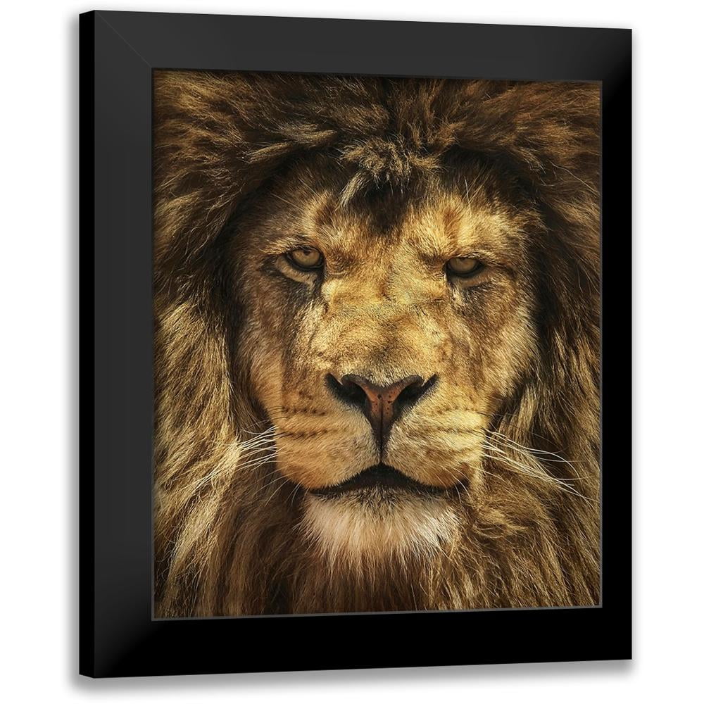 Grippo-Pike, Carrie Ann 12x14 Black Modern Framed Museum Art Print ...