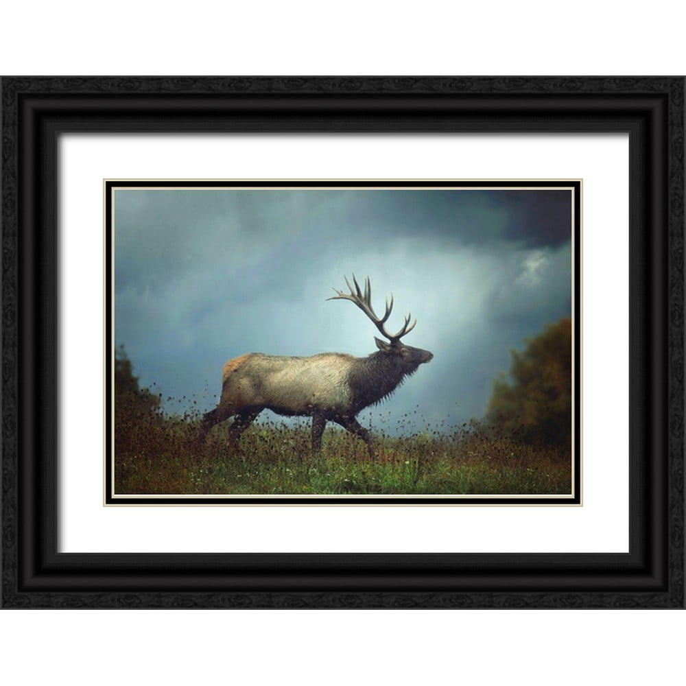 Grippo-Pike, Carrie Ann 14x11 Black Ornate Wood Framed with Double ...