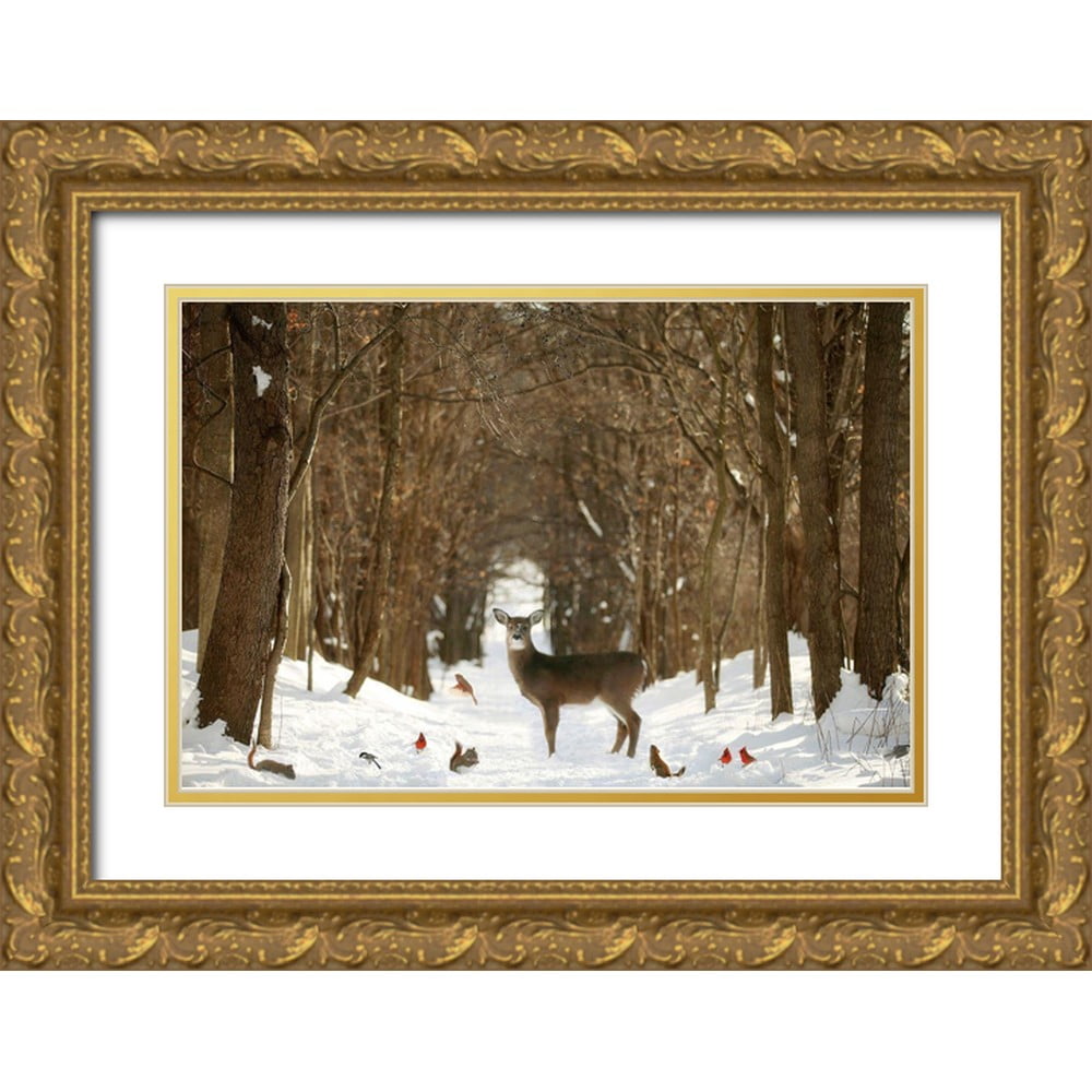 Grippo-Pike, Carrie Ann 14x11 Gold Ornate Wood Framed with Double ...
