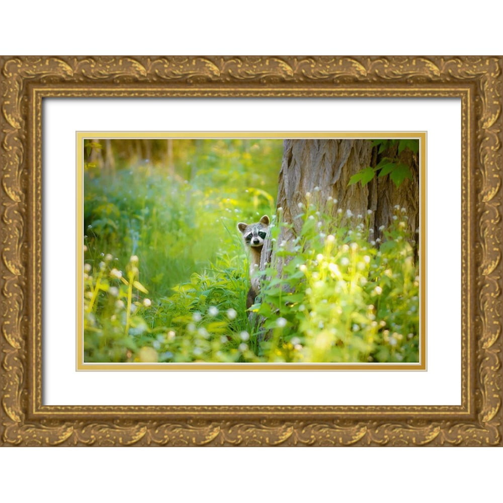 Grippo-Pike, Carrie Ann 18x13 Gold Ornate Wood Framed with Double ...