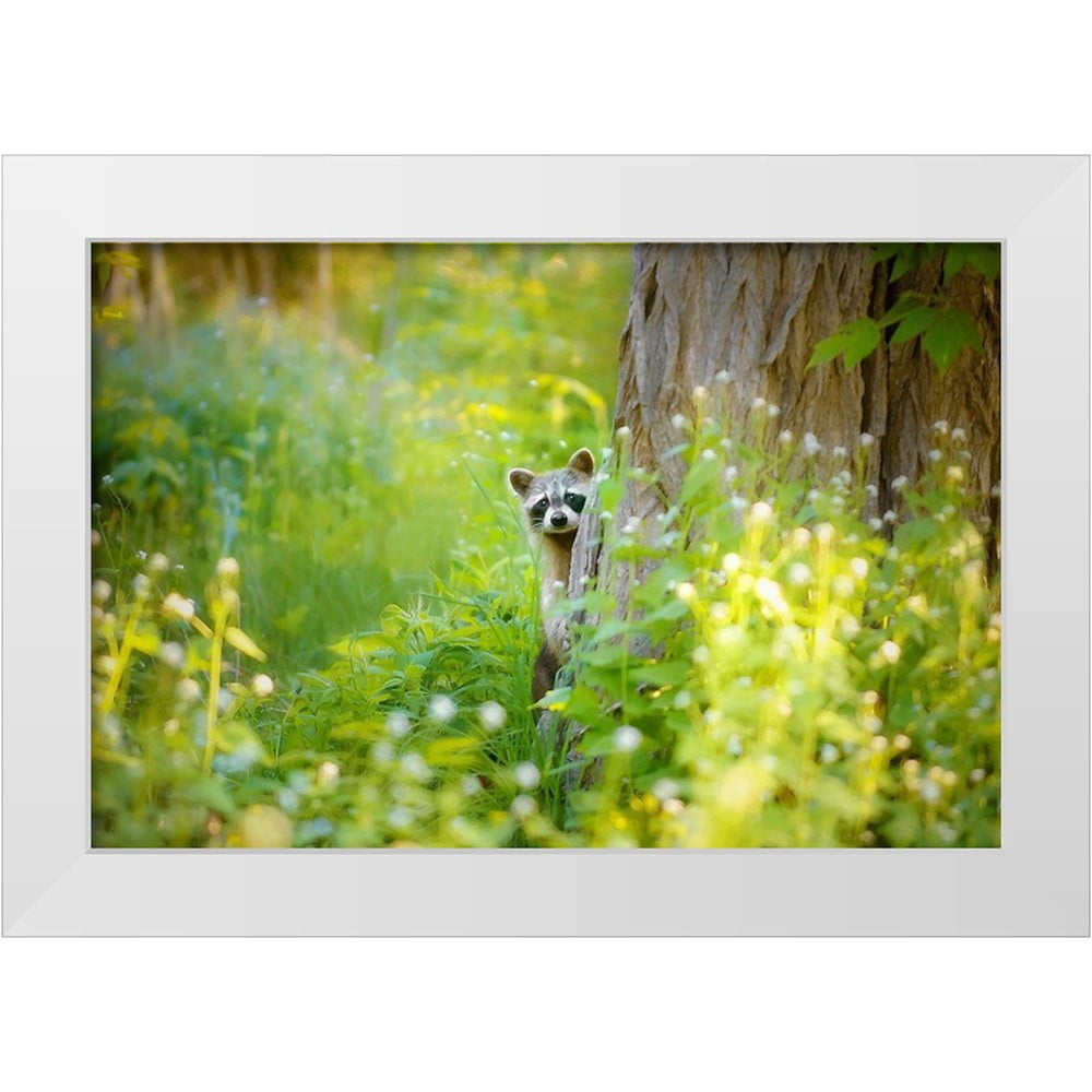 Grippo-Pike, Carrie Ann 18x13 White Modern Wood Framed Museum Art Print ...