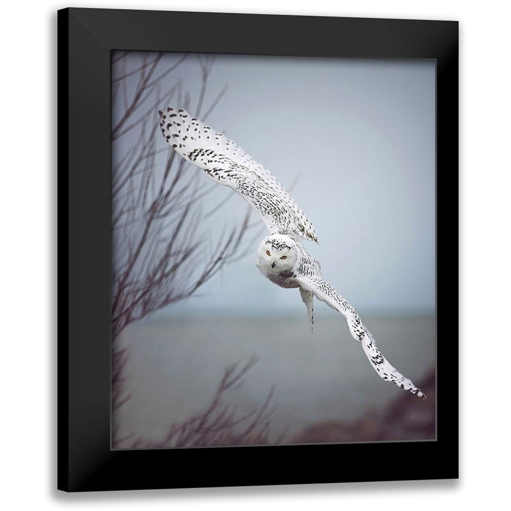 Grippo-Pike, Carrie Ann 20x23 Black Modern Framed Museum Art Print ...