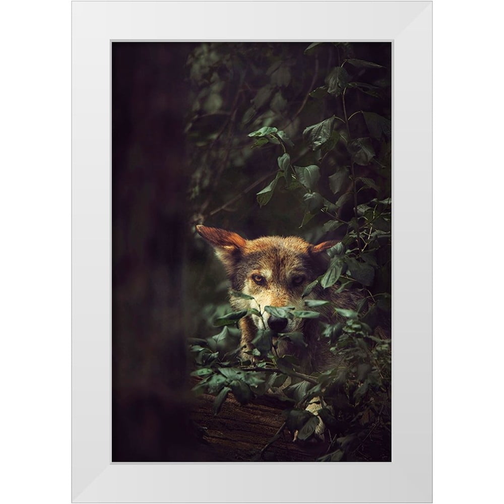 Grippo-Pike, Carrie Ann 23x32 White Modern Wood Framed Museum Art Print ...