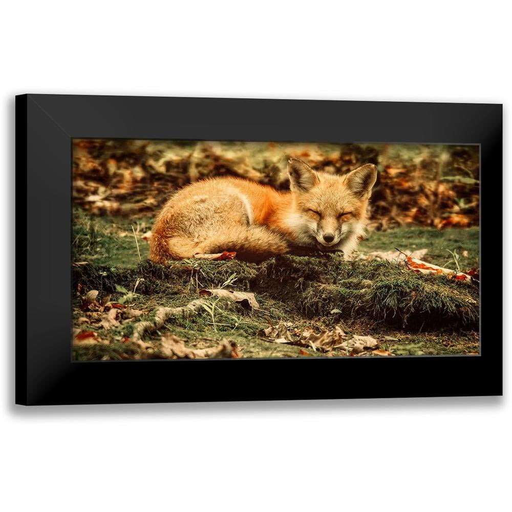 Grippo-Pike, Carrie Ann 24x15 Black Modern Framed Museum Art Print ...