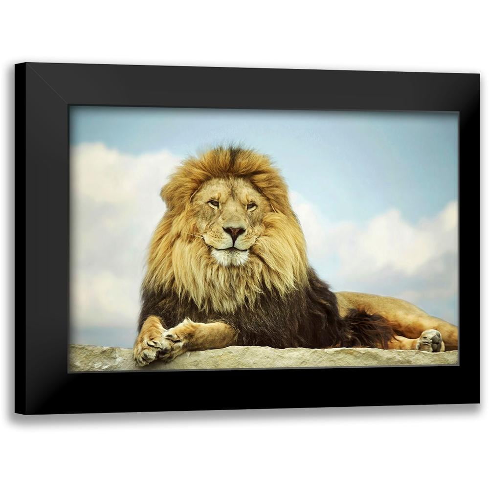 Grippo-Pike, Carrie Ann 24x17 Black Modern Framed Museum Art Print ...