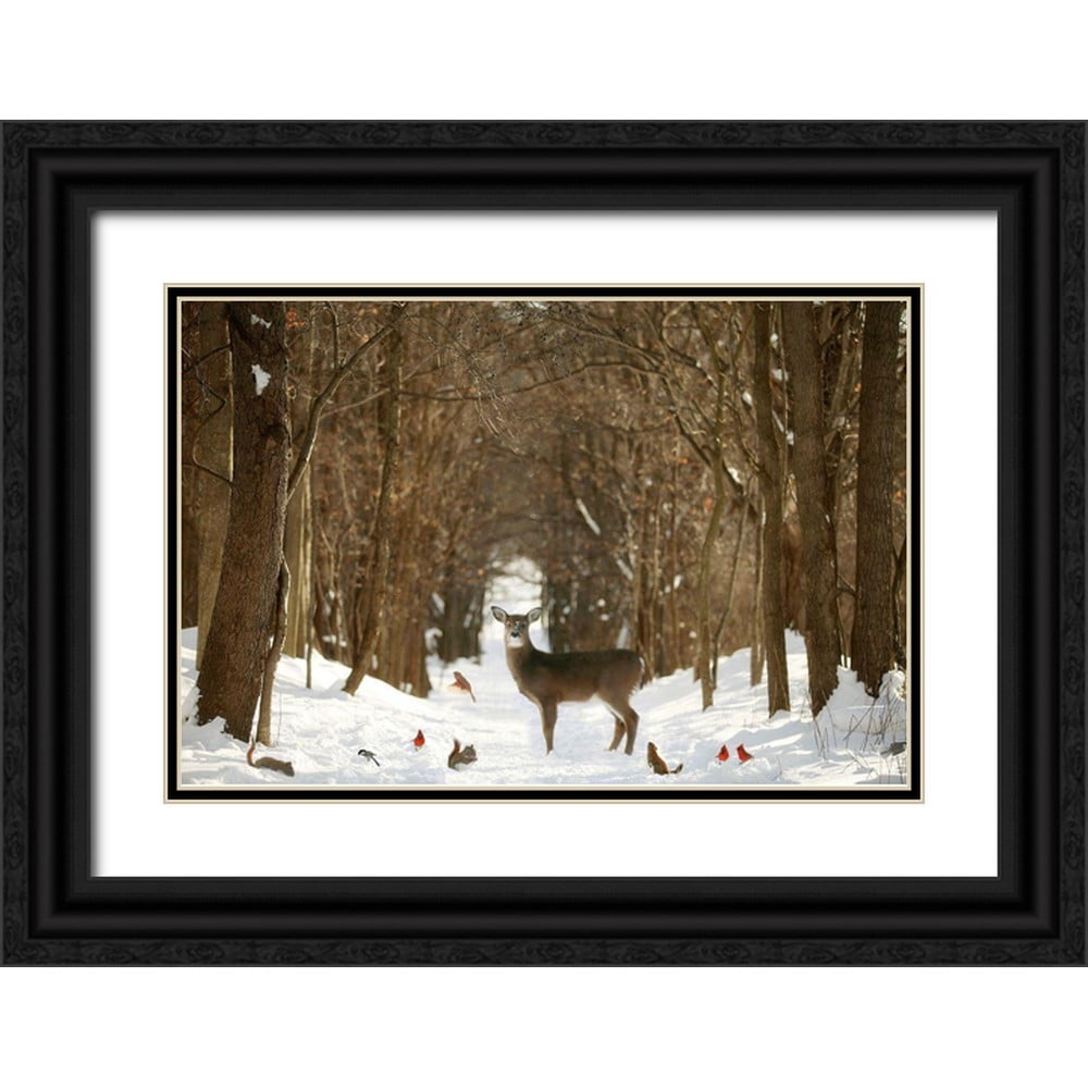 Grippo-Pike, Carrie Ann 24x17 Black Ornate Wood Framed with Double ...