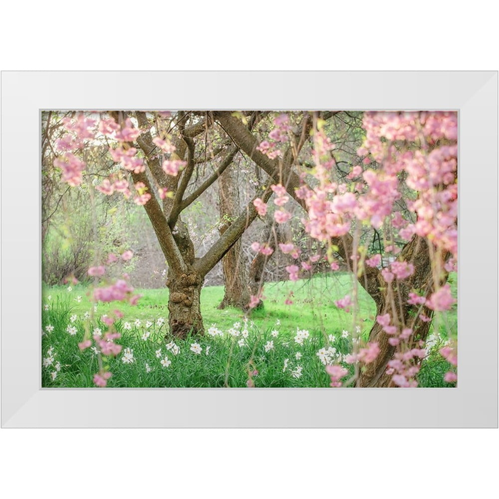 Grippo-Pike, Carrie Ann 24x17 White Modern Wood Framed Museum Art Print ...