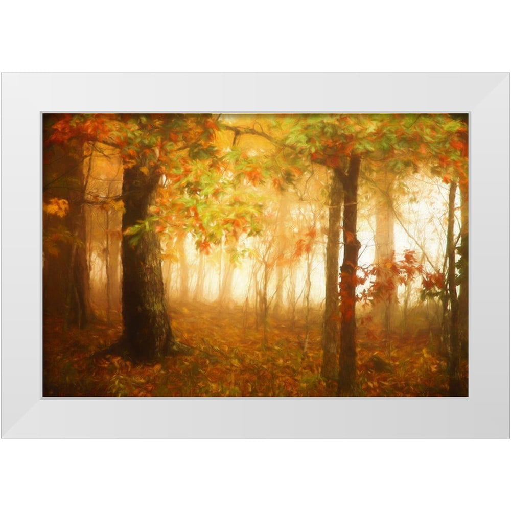 Grippo-Pike, Carrie Ann 32x23 White Modern Wood Framed Museum Art Print ...