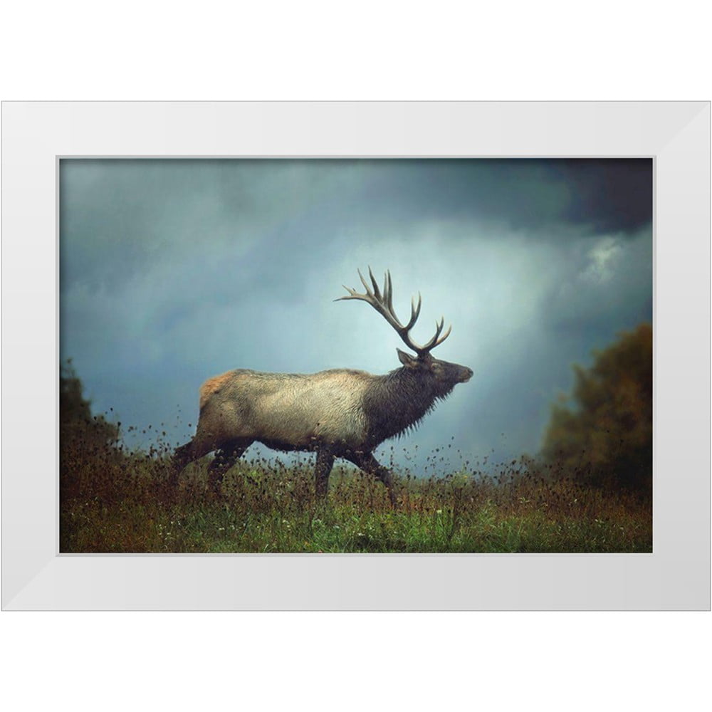 Grippo-Pike, Carrie Ann 32x23 White Modern Wood Framed Museum Art Print ...