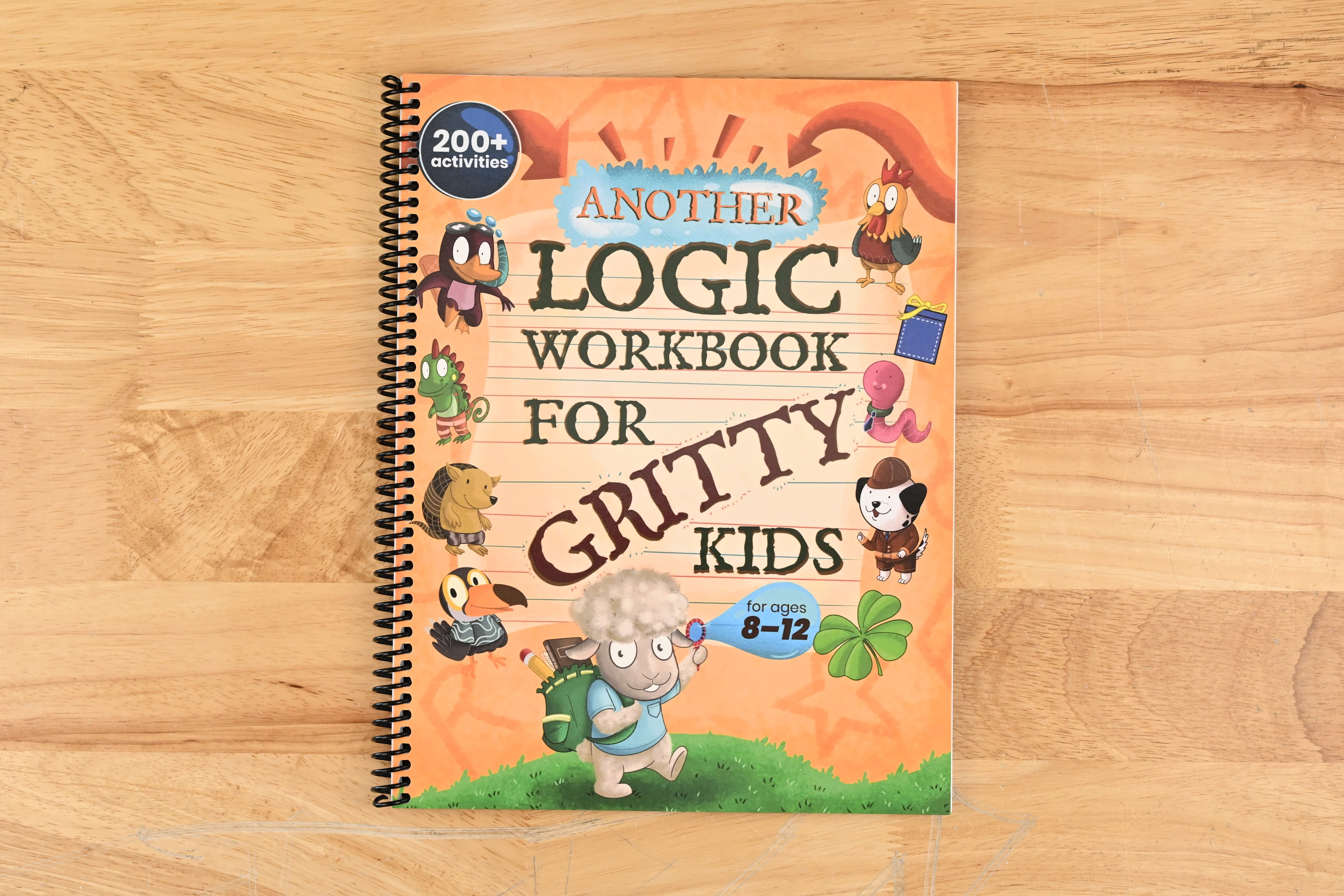 Gritty Kids Another Logic Workbook for Gritty Kids: Spatial Reasoning ...