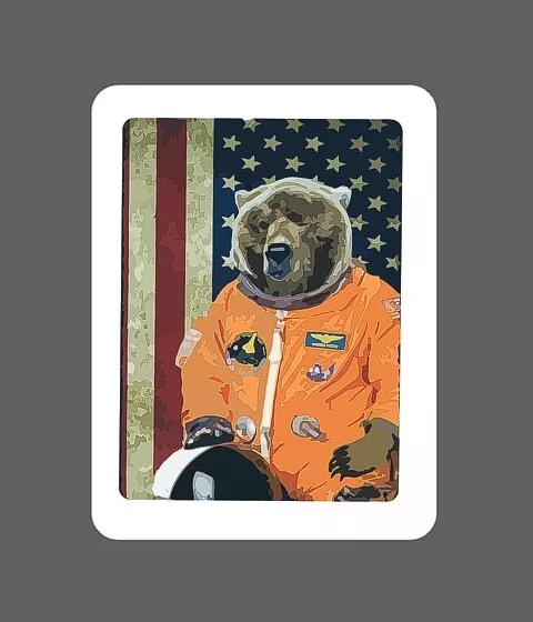 Grizzly Astronaut Sticker Wink Waterproof Sticker Phone Decal Water ...