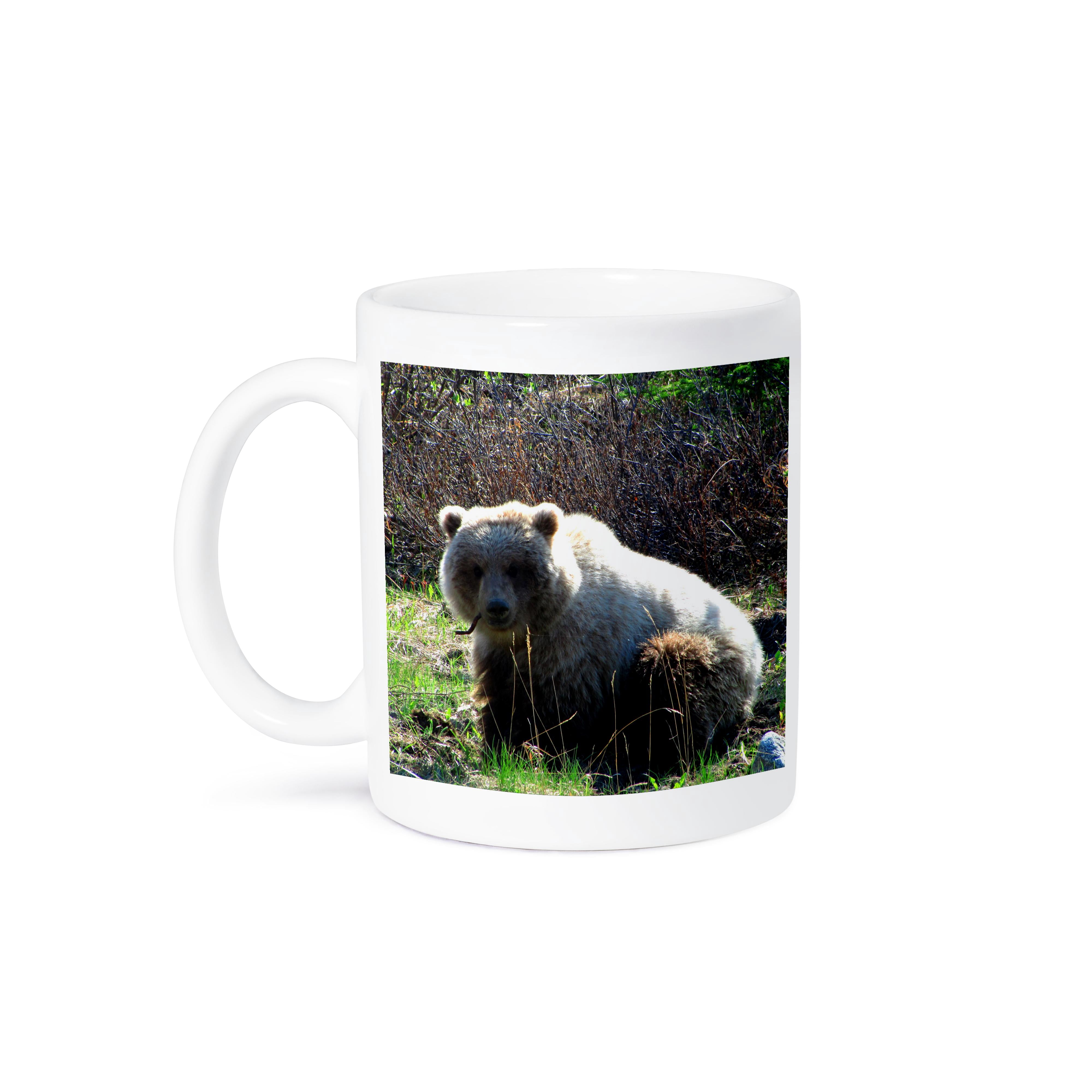 3dRose, Grizzly Bear Chewing on a Root in the Yukon Territory, 15oz Mug ...