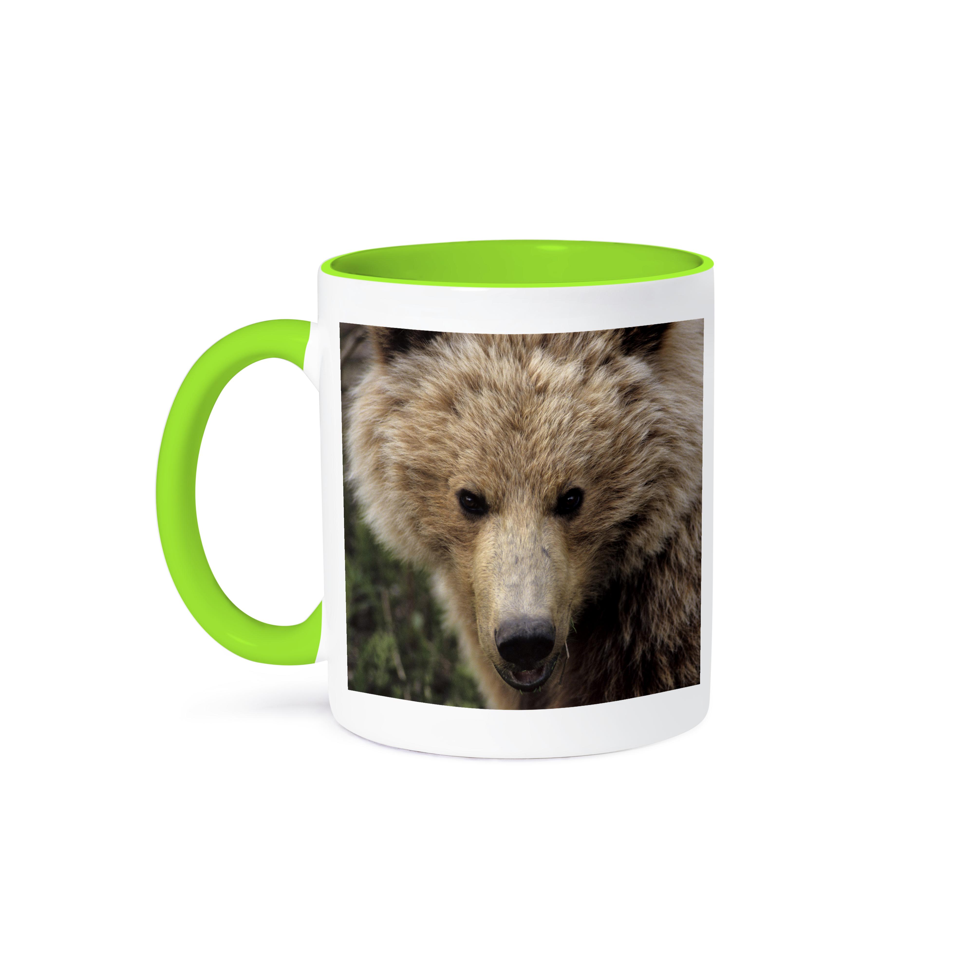 3drose, Grizzly Bear, Denali National Park, Alaska, Usa - Us02 Gre0075 ...